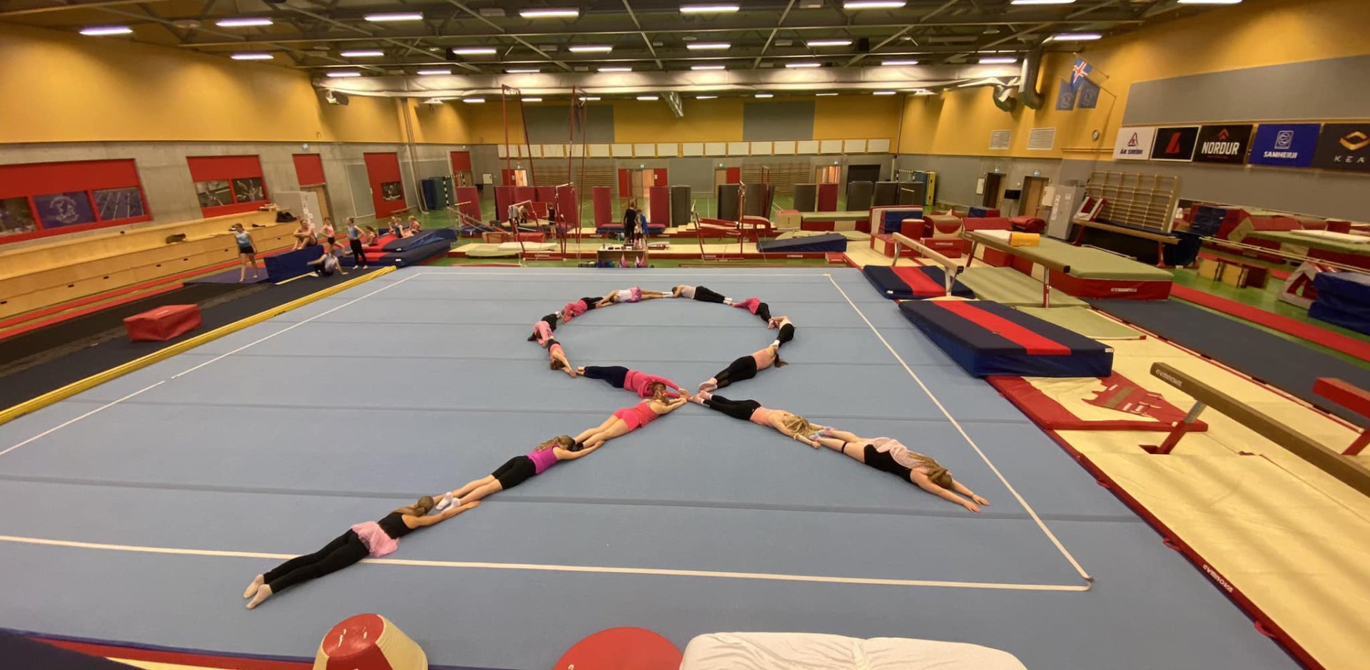 Bleikur dagur | Fimleikafélag Akureyrar